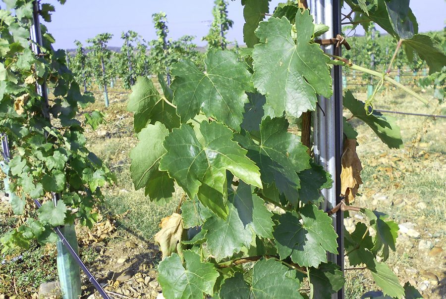 Magón Empresas Fábrica de Perfiles de Acero Galvanizado